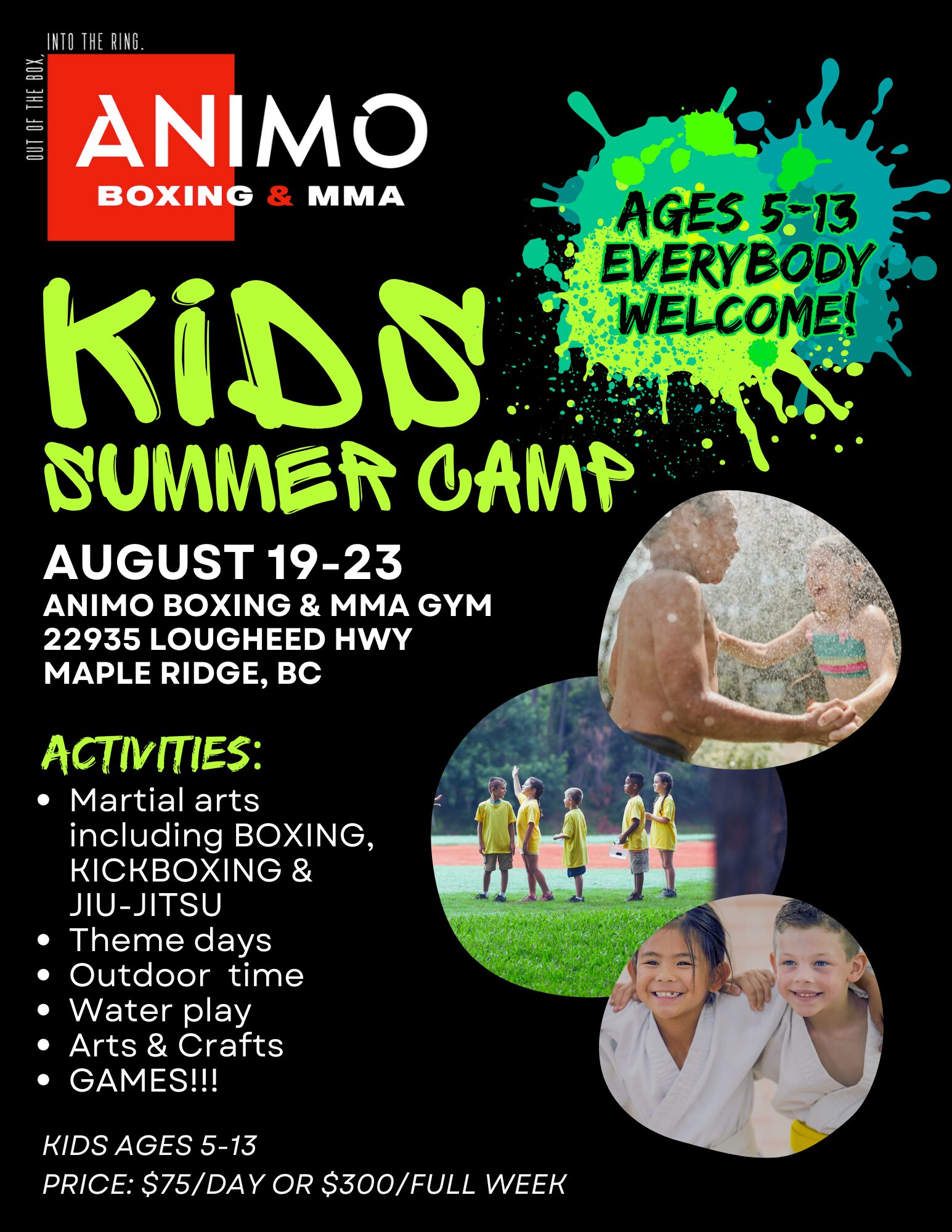 Home - Animo Boxing & Mixed Martial Arts