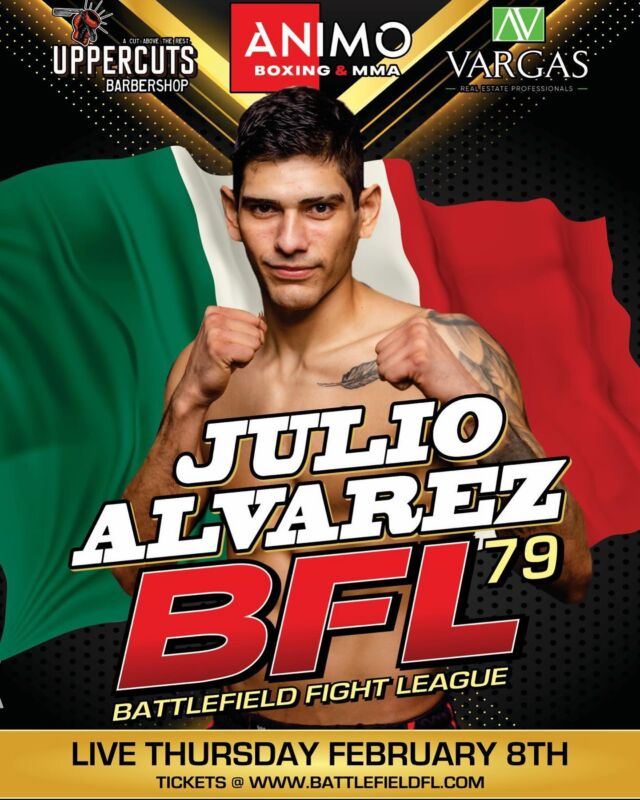 Book a Class - Animo Boxing & Mixed Martial Arts