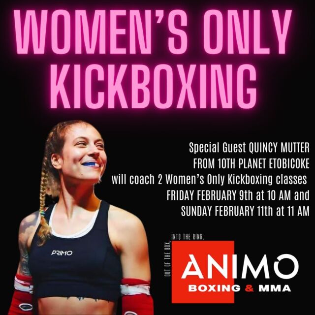 Book a Class - Animo Boxing & Mixed Martial Arts