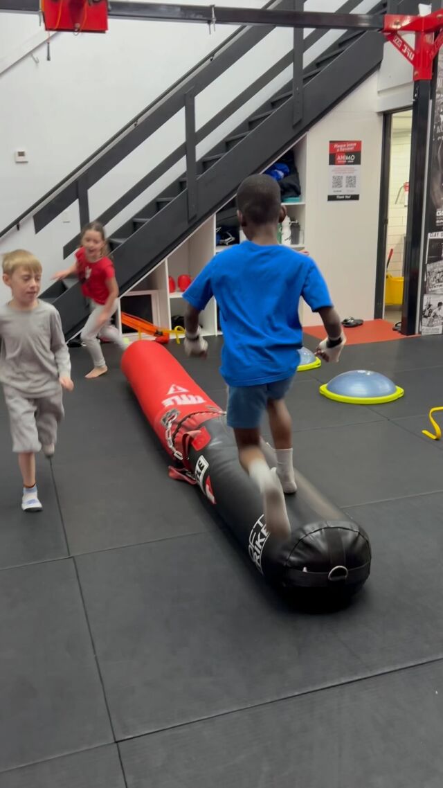 Shop Our Gear - Animo Boxing & Mixed Martial Arts