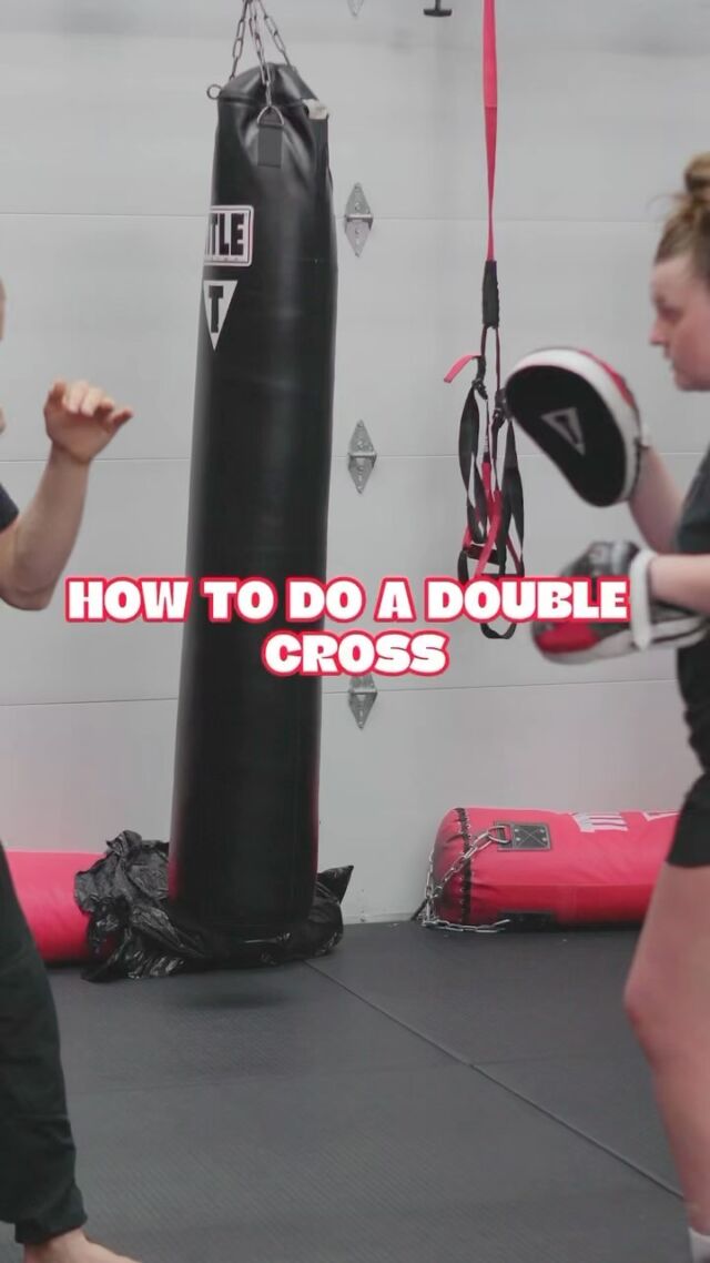 Shop Our Gear - Animo Boxing & Mixed Martial Arts