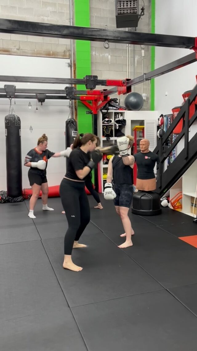 Comp Team - Animo Boxing & Mixed Martial Arts