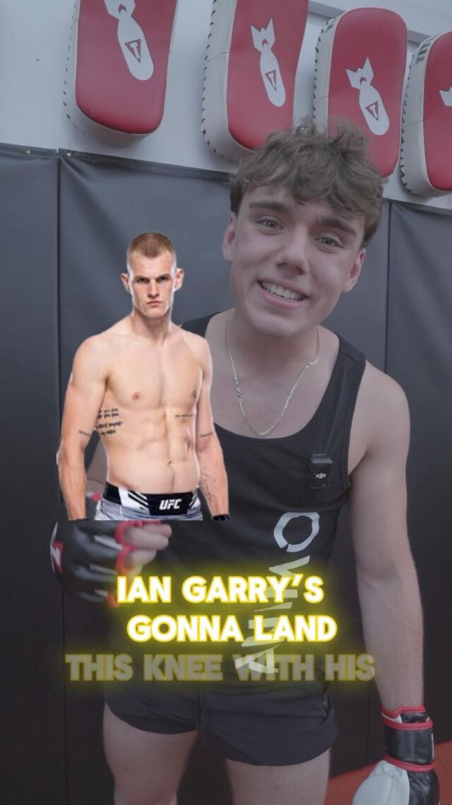 Shop Our Gear - Animo Boxing & Mixed Martial Arts