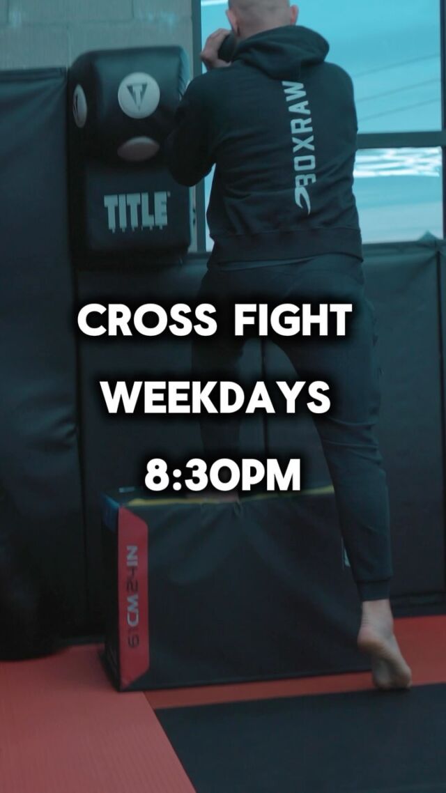 Shop Our Gear - Animo Boxing & Mixed Martial Arts